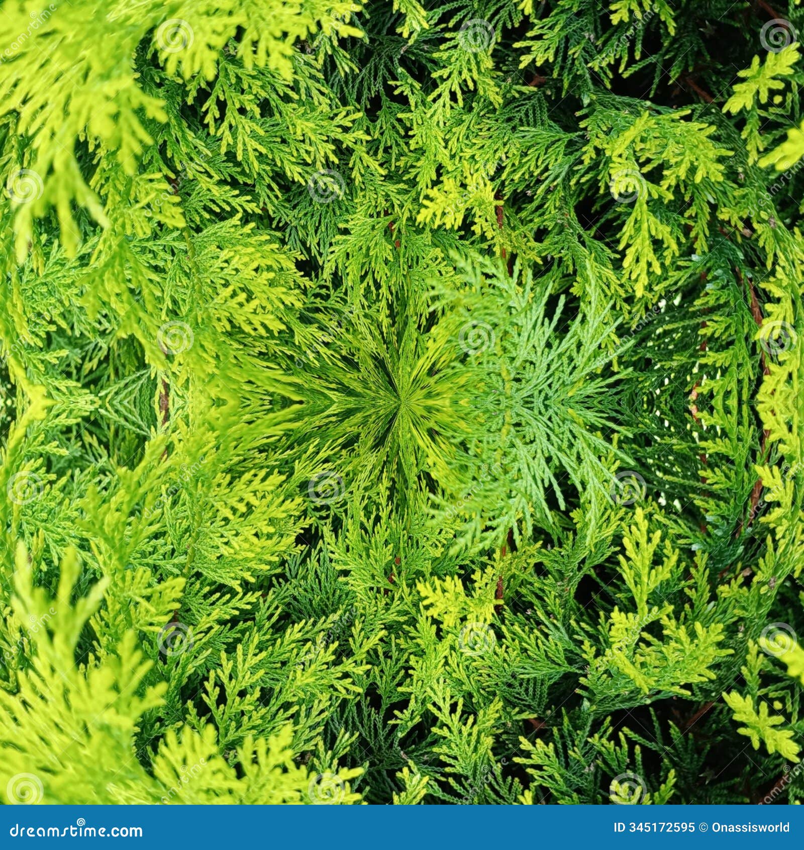 Nature Green Abstract Background Shapes Blurs Stock Image - Image of ...