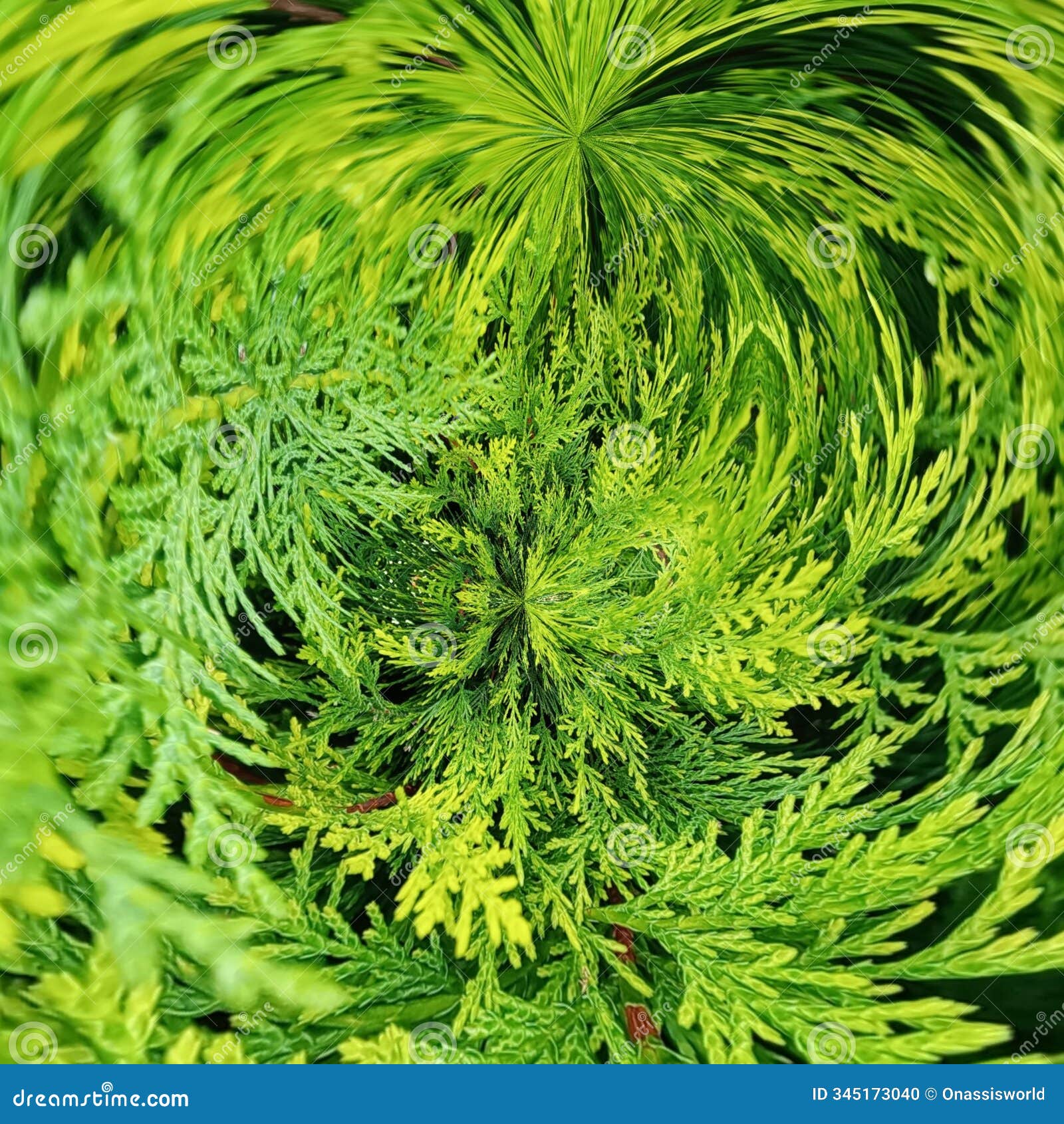 Nature Green Abstract Background Shapes Blurs Stock Photo - Image of ...