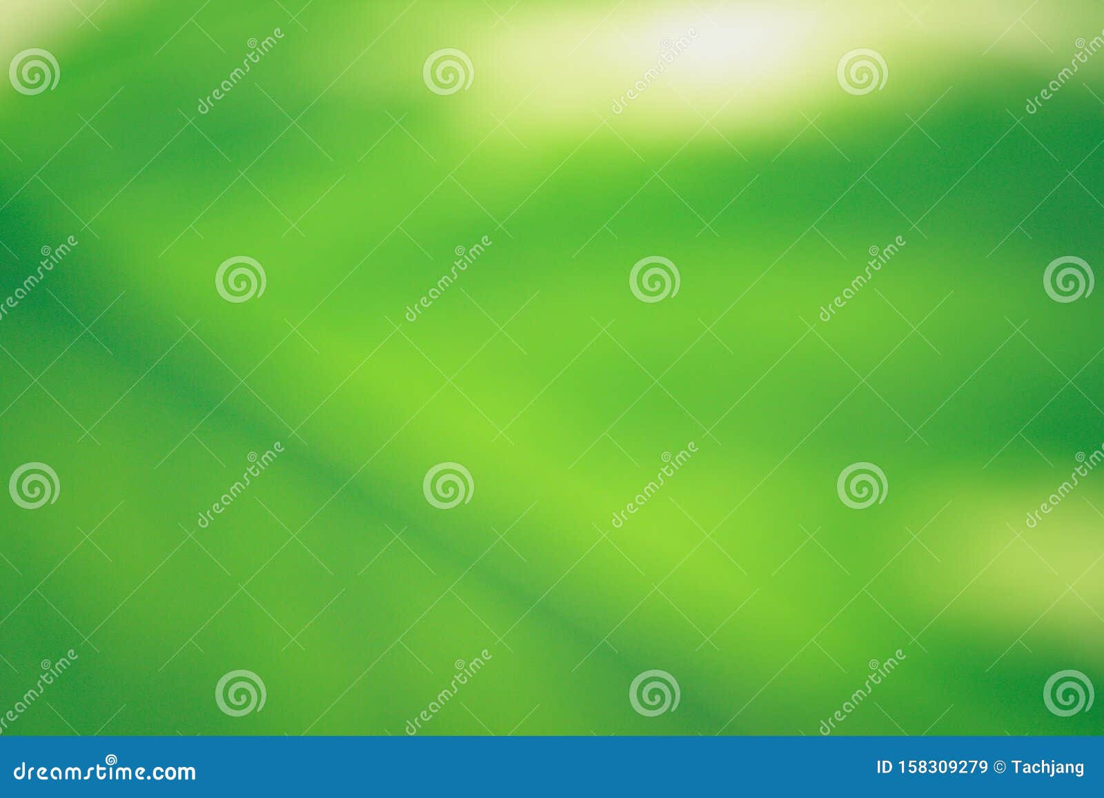 Nature Green Blurred Background Stock Image - Image of abstract ...