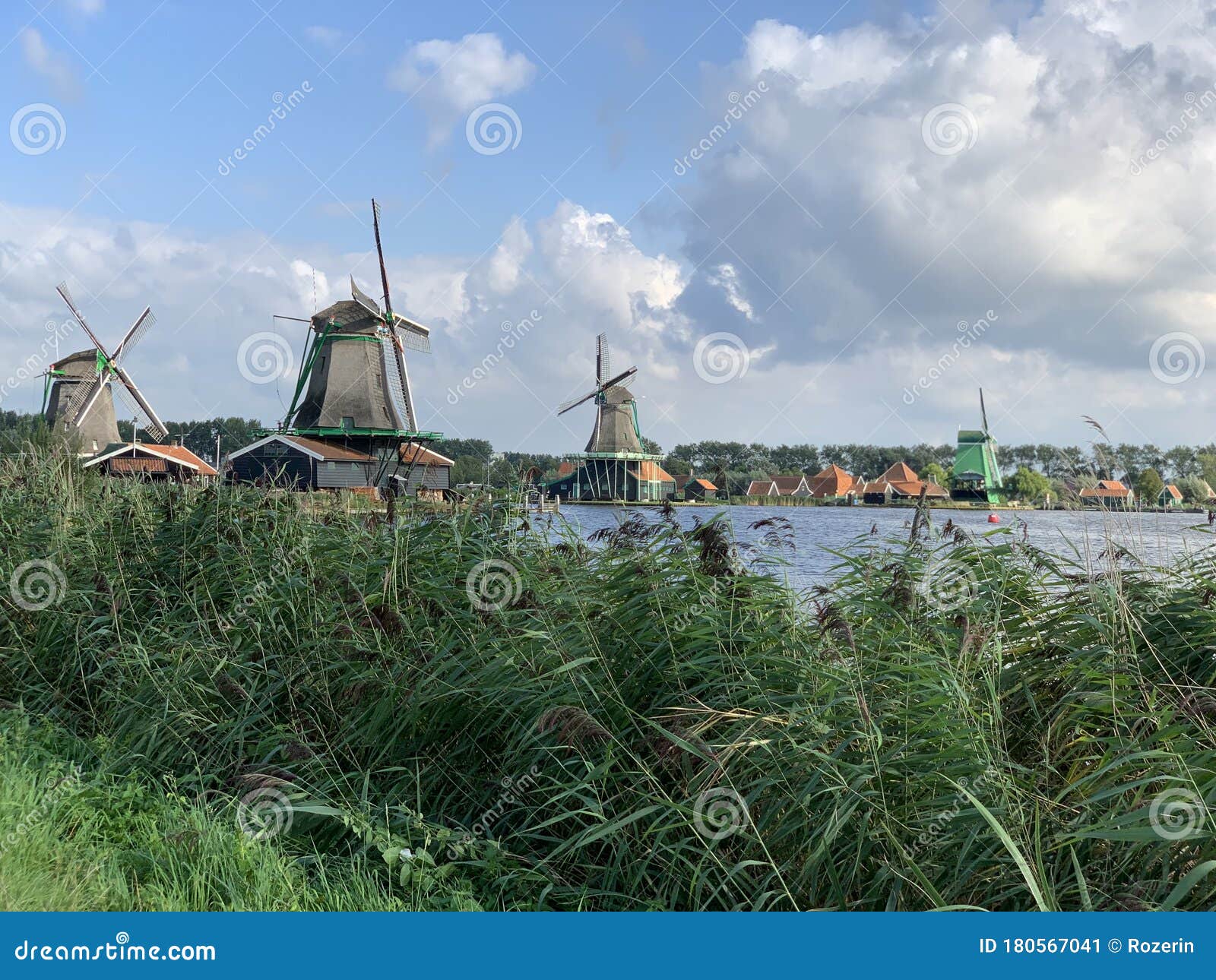 Nature Green Grass Carousel Royalty-Free Stock Photography ...