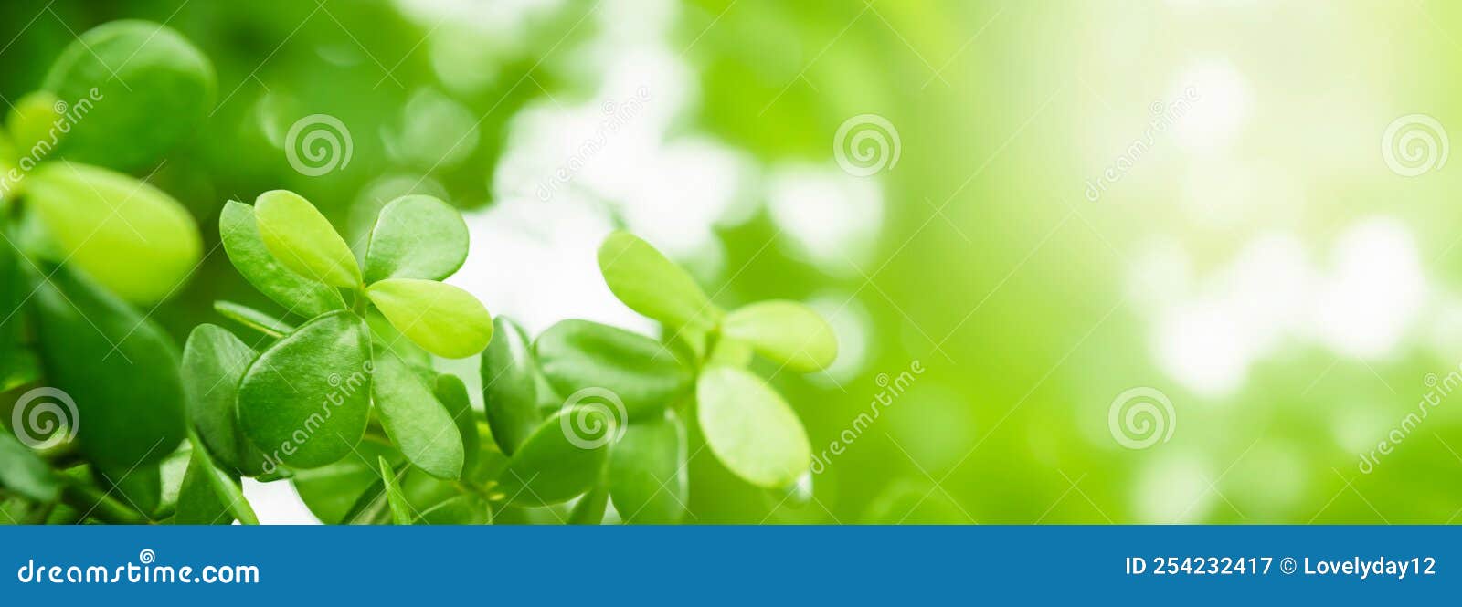 Nature of Green Leaf. Environment Ecology Greenery Wallpaper Stock ...
