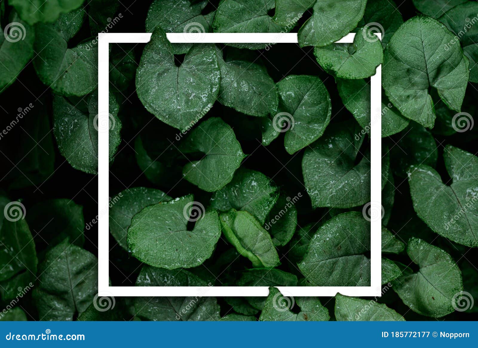 Nature Green Leaves with White Text Box for Presentation Background or ...