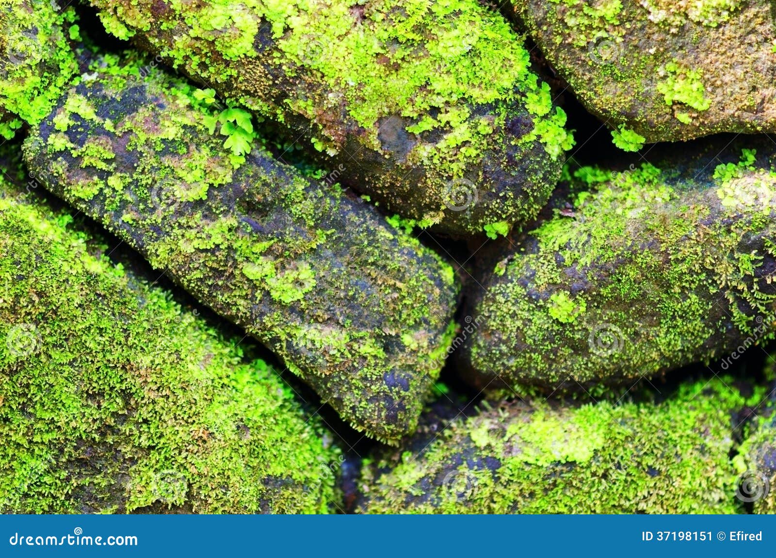 Green Moss On Old Stone Wall Stock Image - Image: 37198151