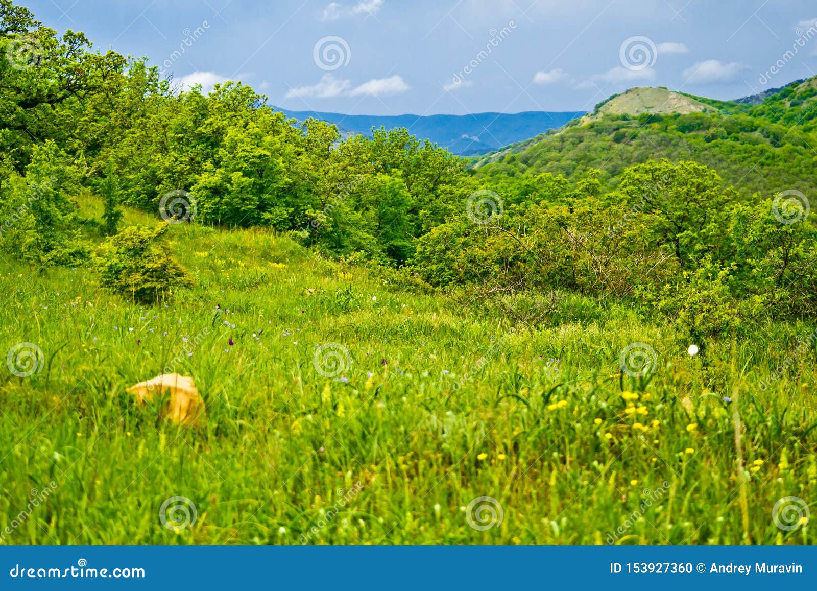 Nature in the greenery 7 stock photo. Image of natural - 153927360