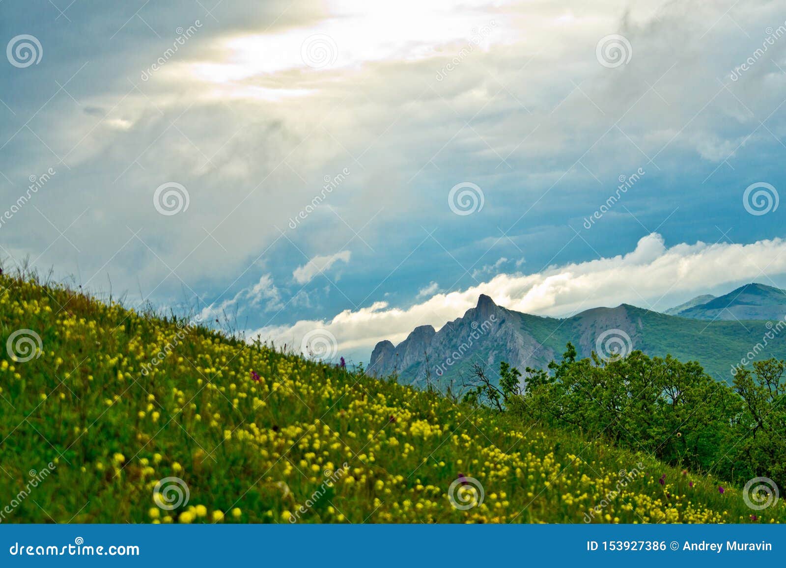 Nature in the greenery 3 stock photo. Image of forest - 153927386