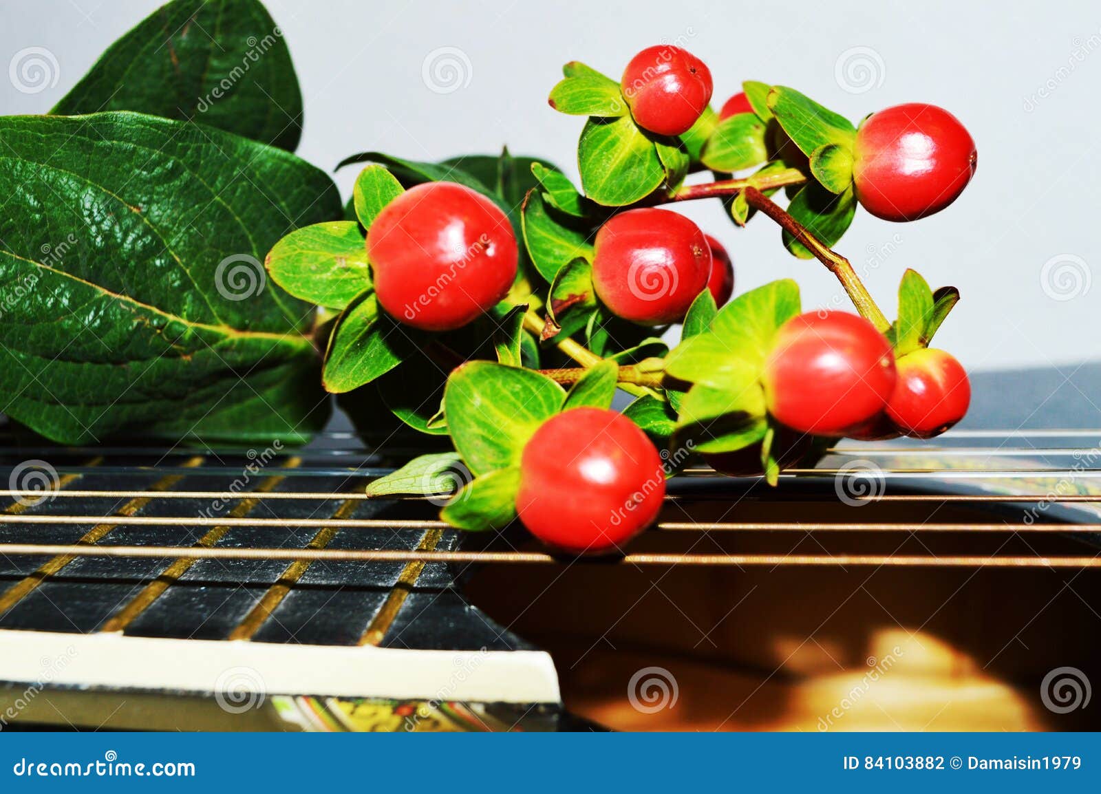 Nature and Guitar Strings, Close-up Stock Photo - Image of heart, voice ...