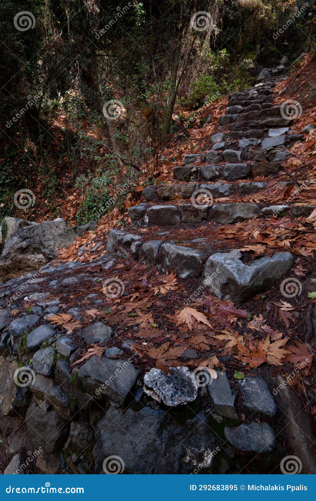 Nature Hiking Path in the Mountains. Nature Mountain Trail Stock Image ...