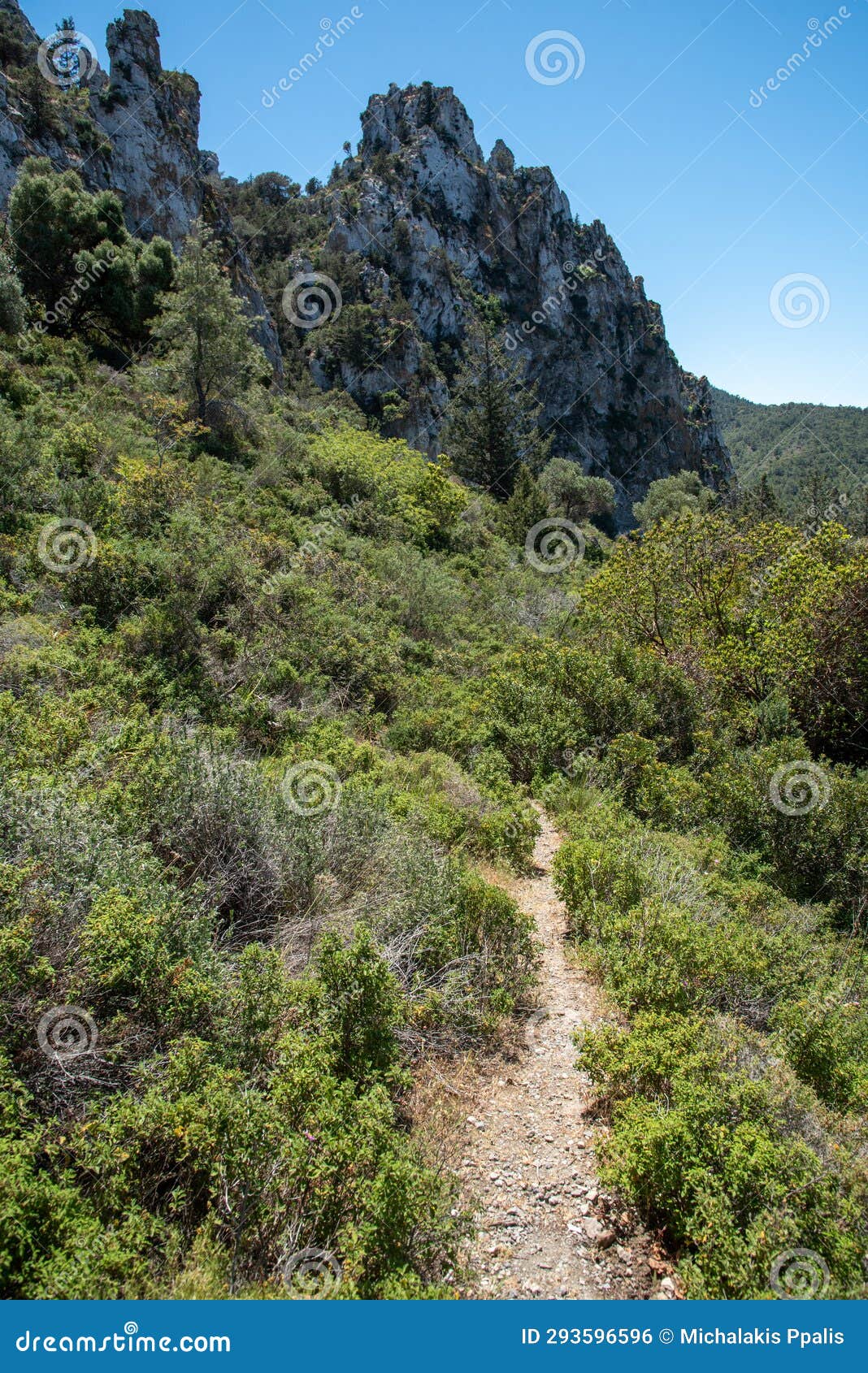 Nature Hiking Path in the Mountains. Nature Mountain Trail Stock Photo ...