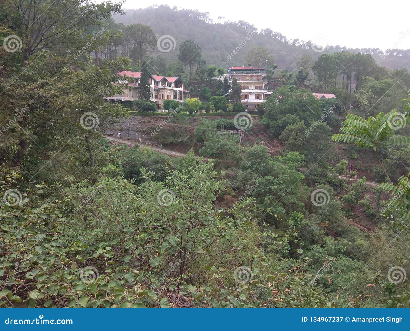 Nature Himachal view stock image. Image of solan, himachal - 134967237