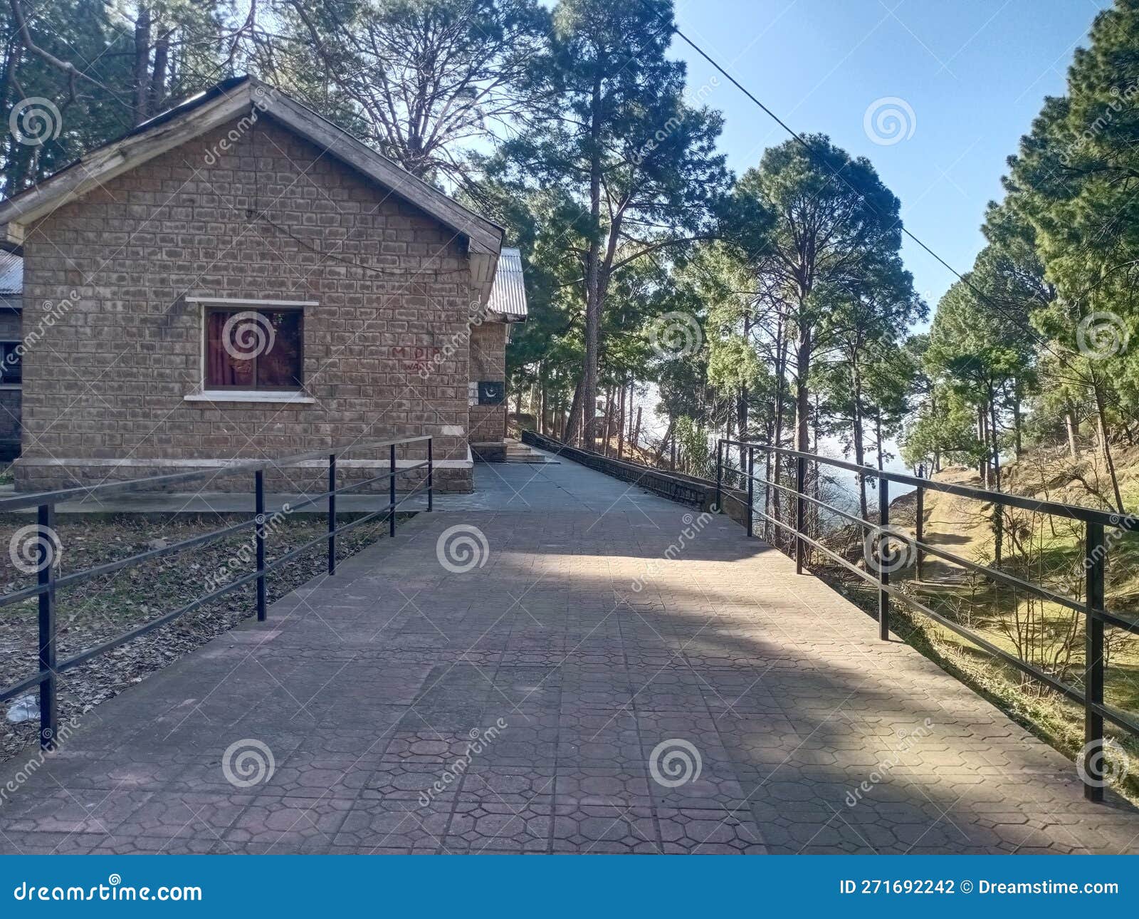 Nature Is My Home. Rest In Countryside. Farmer Bearded Man Rest After ...