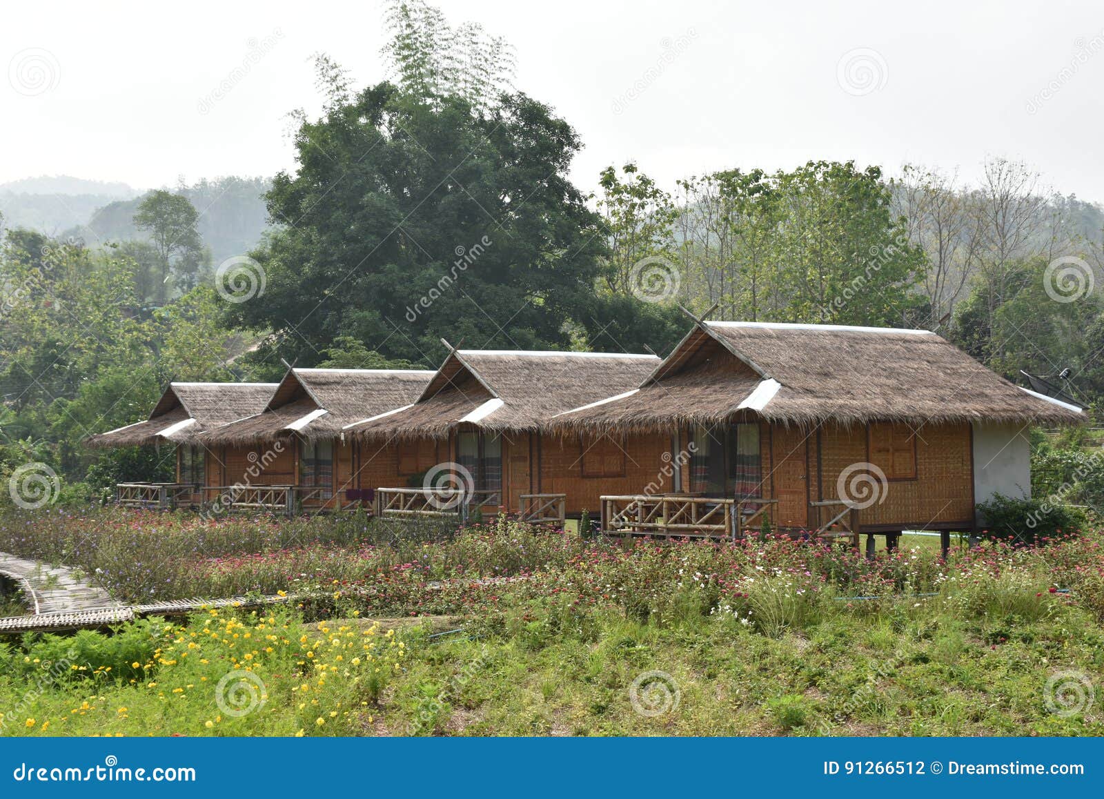 Nature House stock photo. Image of architecture, home - 91266512