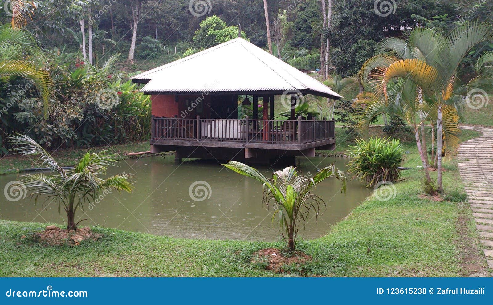 Nature stock photo. Image of rain, shower, tropica, nature - 123615238