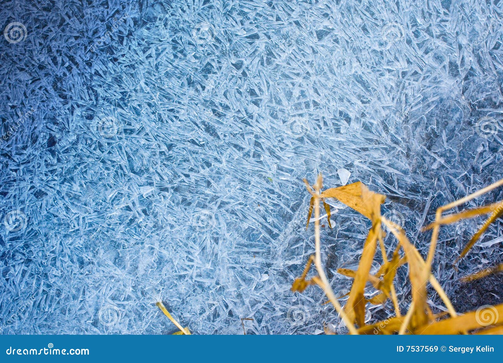 Nature ice pattern stock image. Image of card, ornament - 7537569