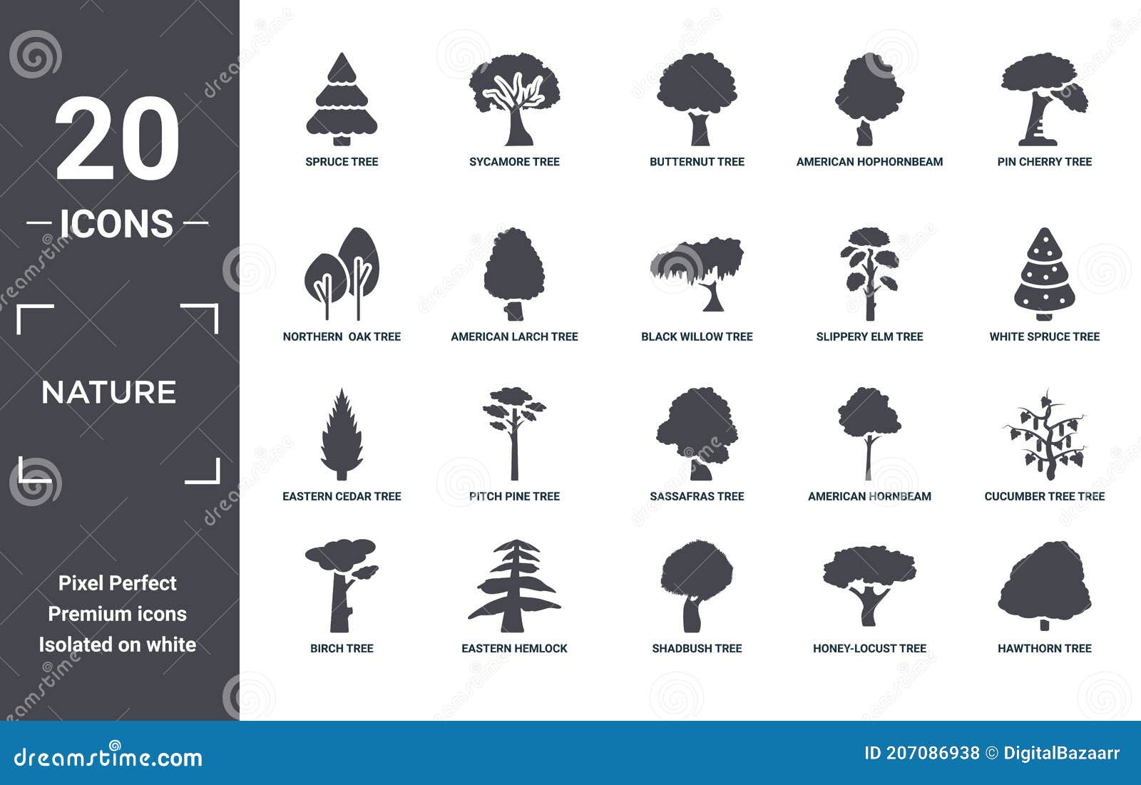 Eastern Hemlock Tree Icon Vector Sign And Symbol Isolated On White ...