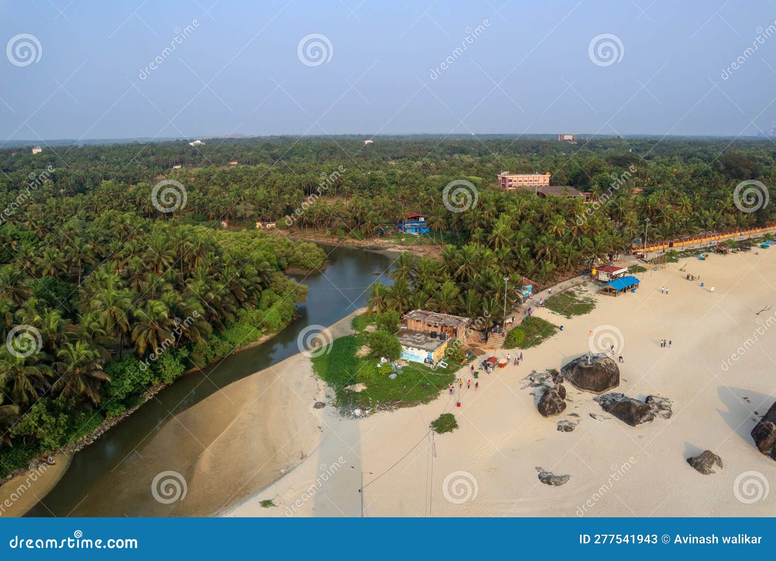 The Nature Image with Sea and Jungle and Desert Stock Image - Image of ...