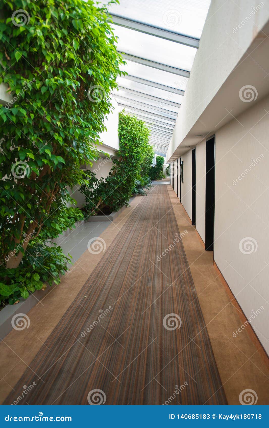Nature Inside the Building, Corridor and Foliage Stock Image - Image of ...