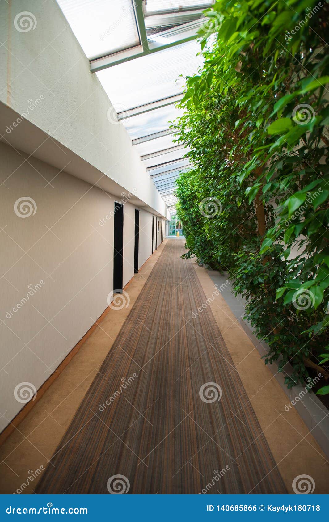 Nature Inside the Building, Corridor and Foliage Stock Photo - Image of ...