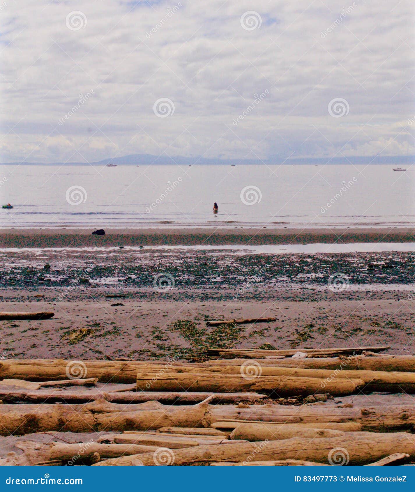 Nature inspires stock image. Image of horizon, inspires - 83497773