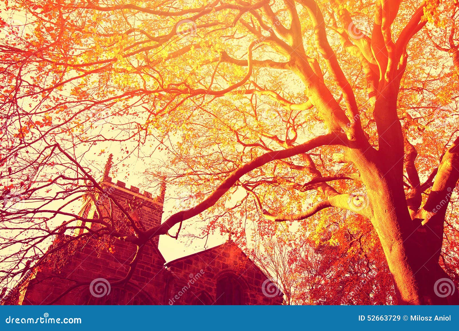 Nature instagram. stock image. Image of color, leaf, spring - 52663729