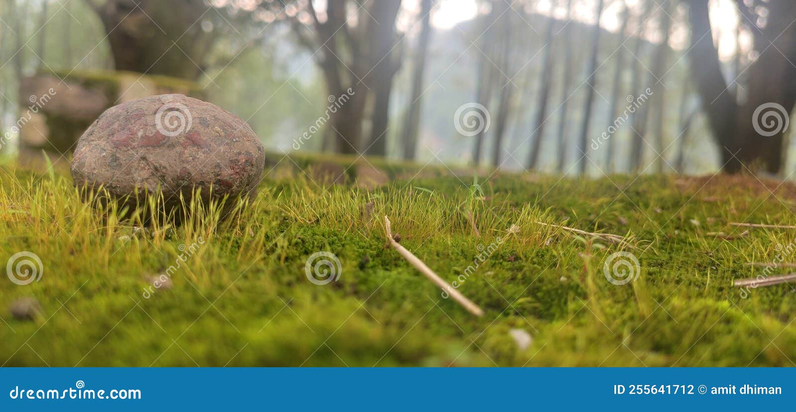Nature Instant Click Random Peace Stock Photo - Image of nature, peace ...