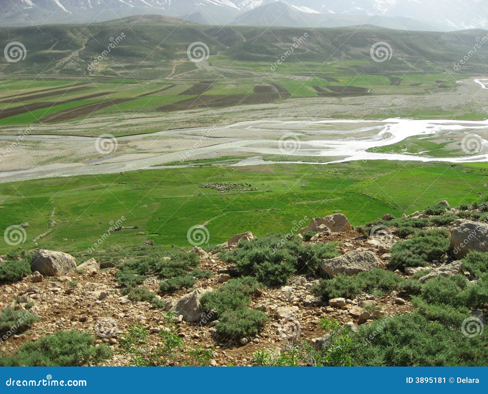 Nature of Iran stock image. Image of flock, animals, freedom - 3895181