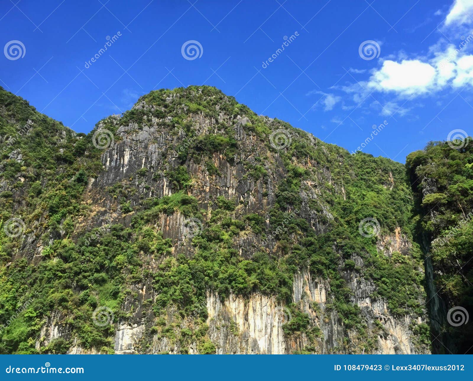 The Nature of the Island Phi Phi. Thailand Stock Image - Image of tree ...