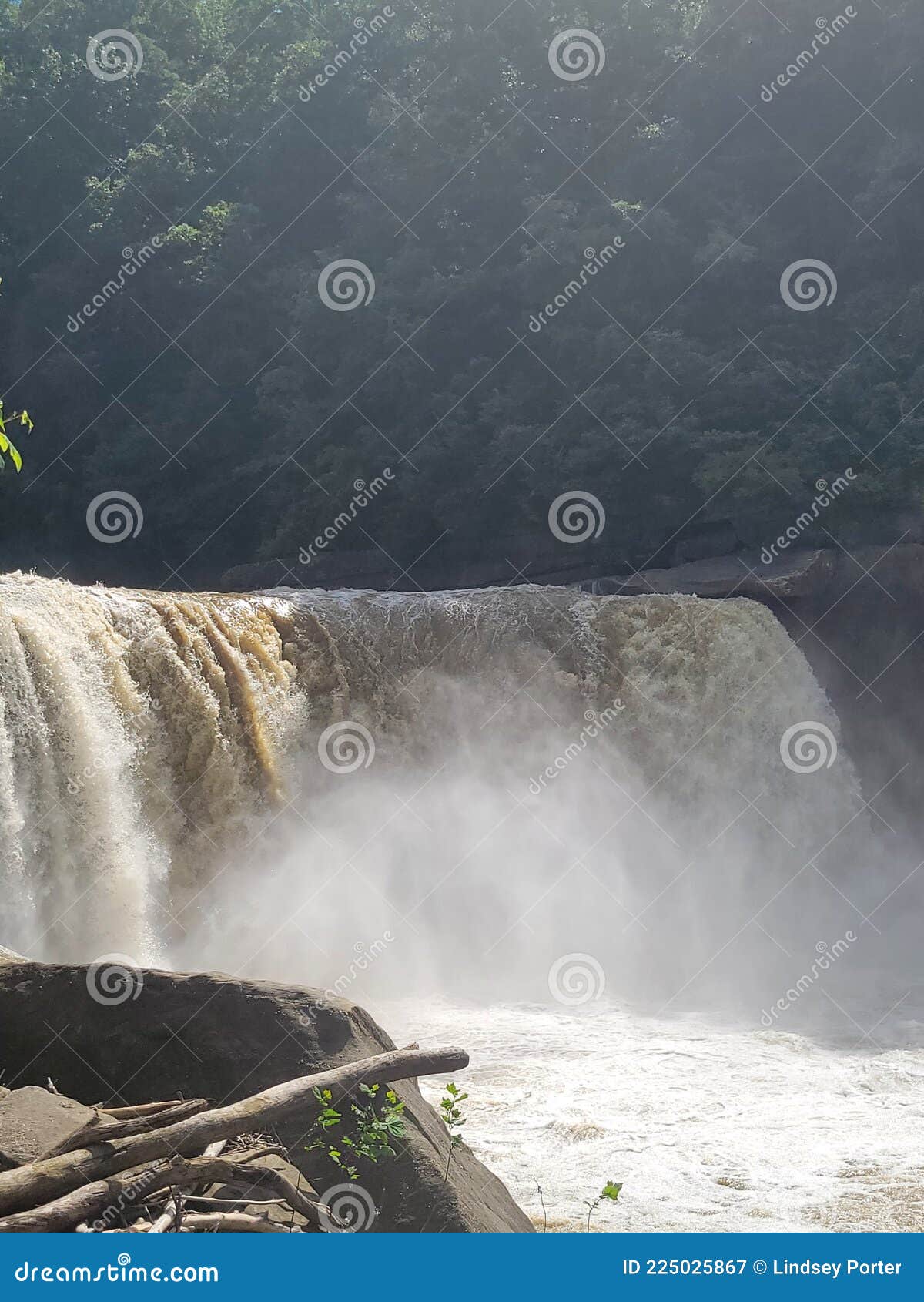 Nature at its finest stock image. Image of nature, winter - 225025867