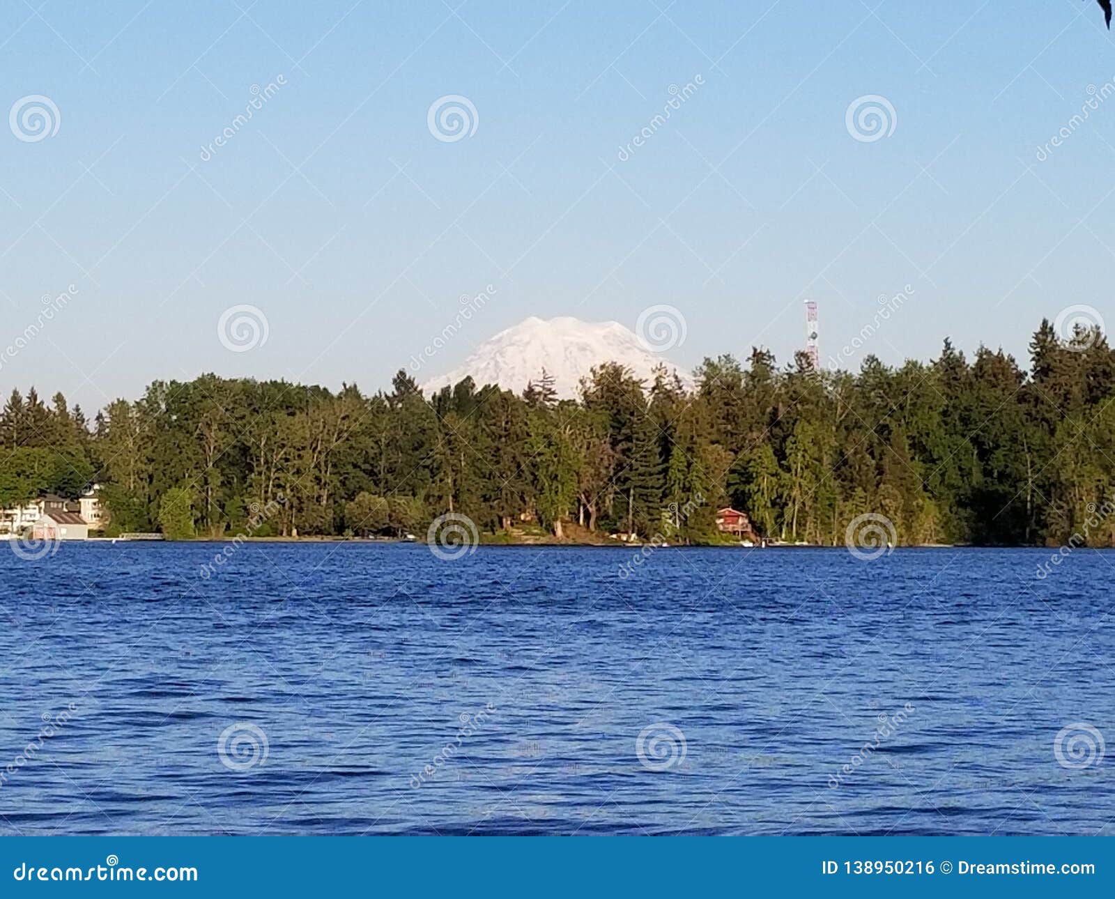 Nature at its finest stock photo. Image of trees, ocean - 138950216