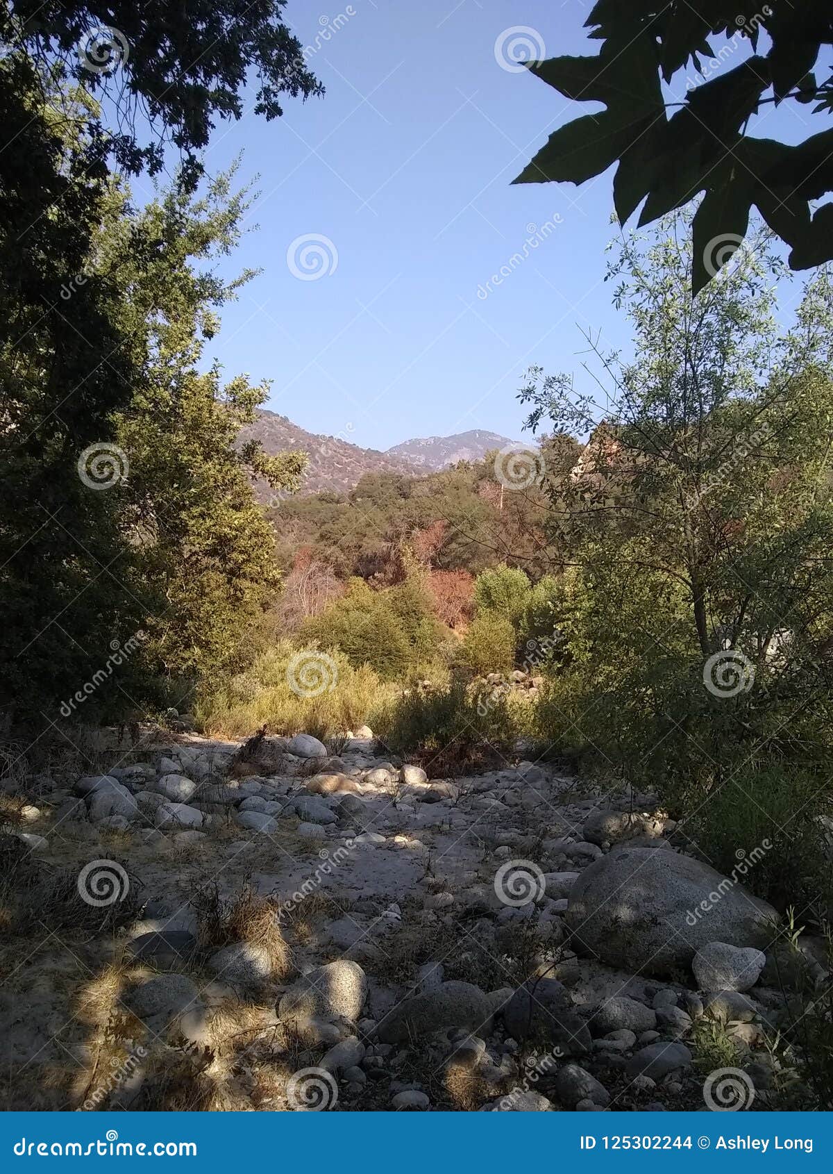 Nature at its finest stock photo. Image of nature, scapes - 125302244