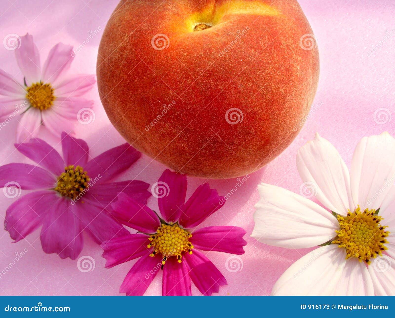 Nature joy stock image. Image of luminous, nature, happy - 916173