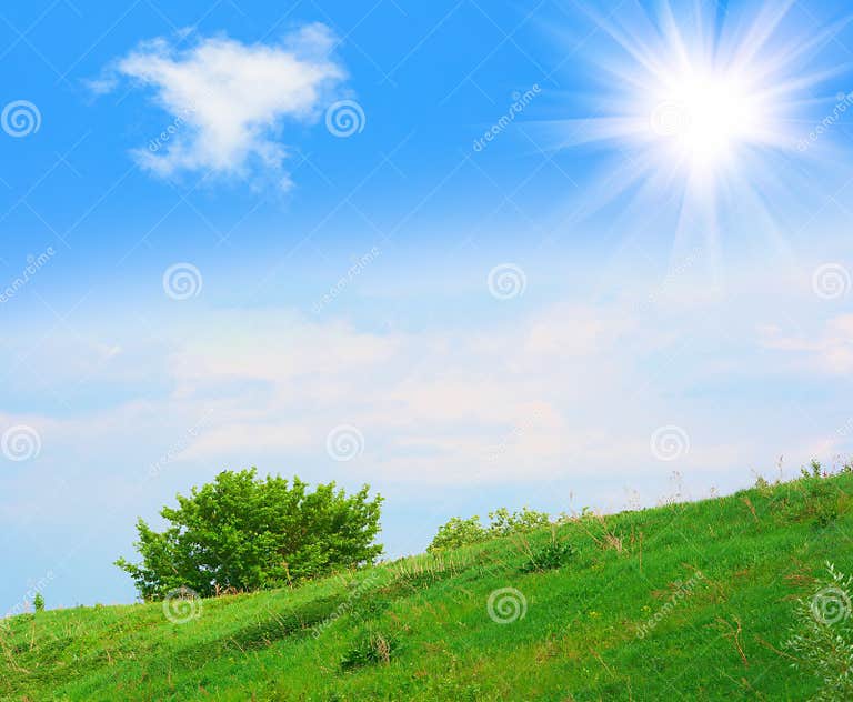 Nature in June stock photo. Image of weather, white, success - 9849150
