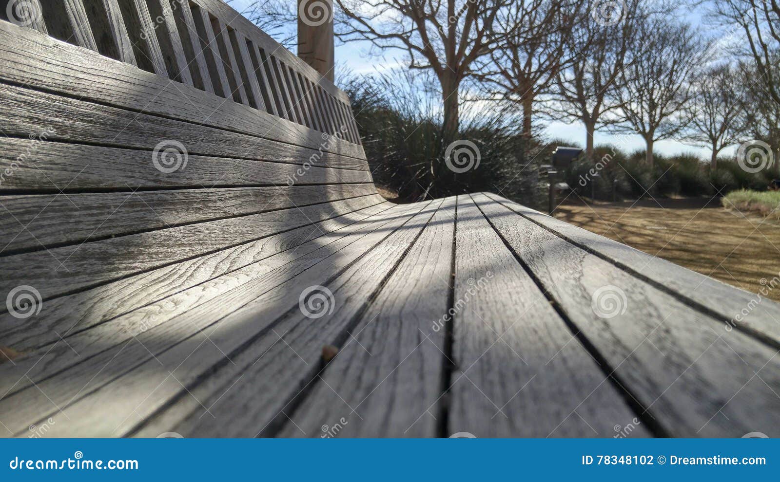 Nature stock photo. Image of nature, observe, natural - 78348102