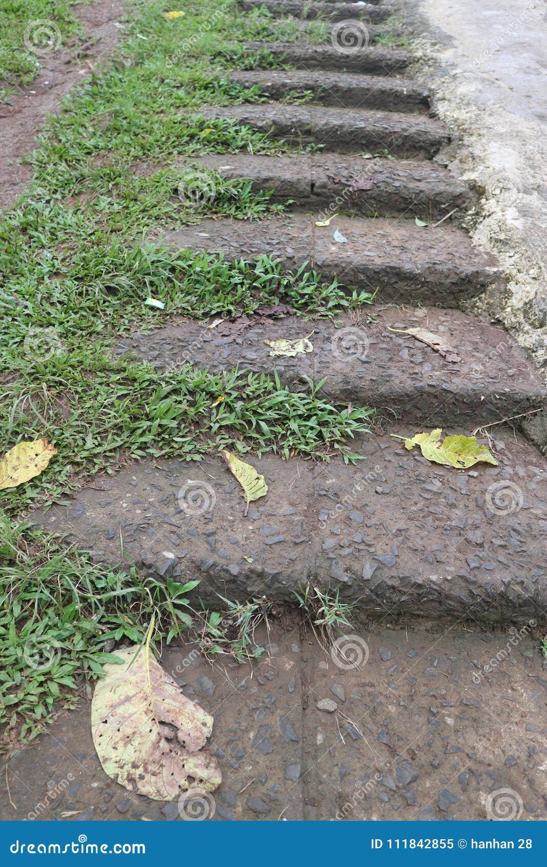 27,177 Nature Ladder Photos - Free & Royalty-Free Stock Photos from ...