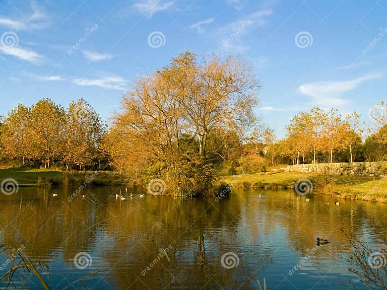 Nature lagoon stock image. Image of nature, clouds, forest - 3884459