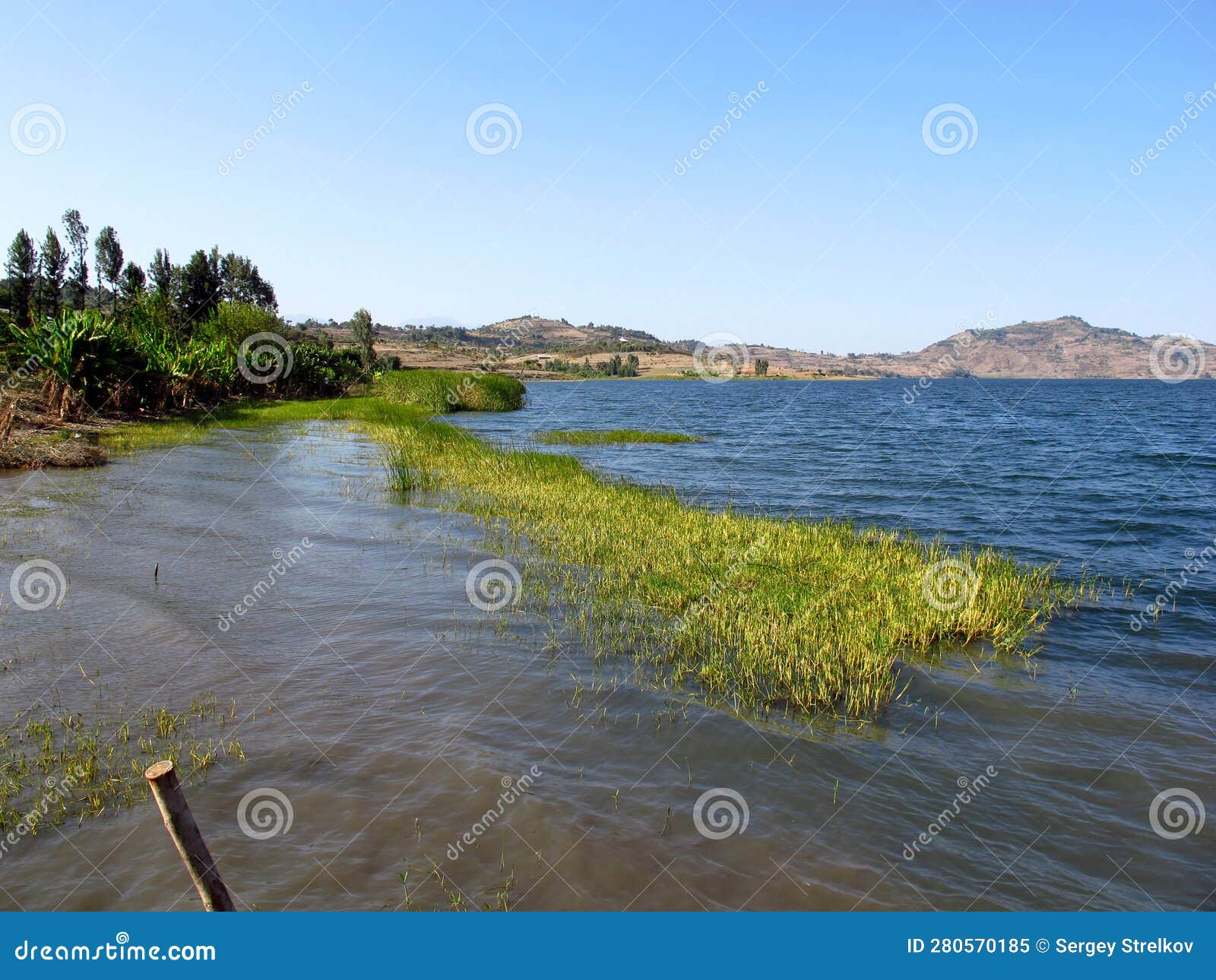 Nature of the Lake in Mountains of Ethiopia Stock Image - Image of ...