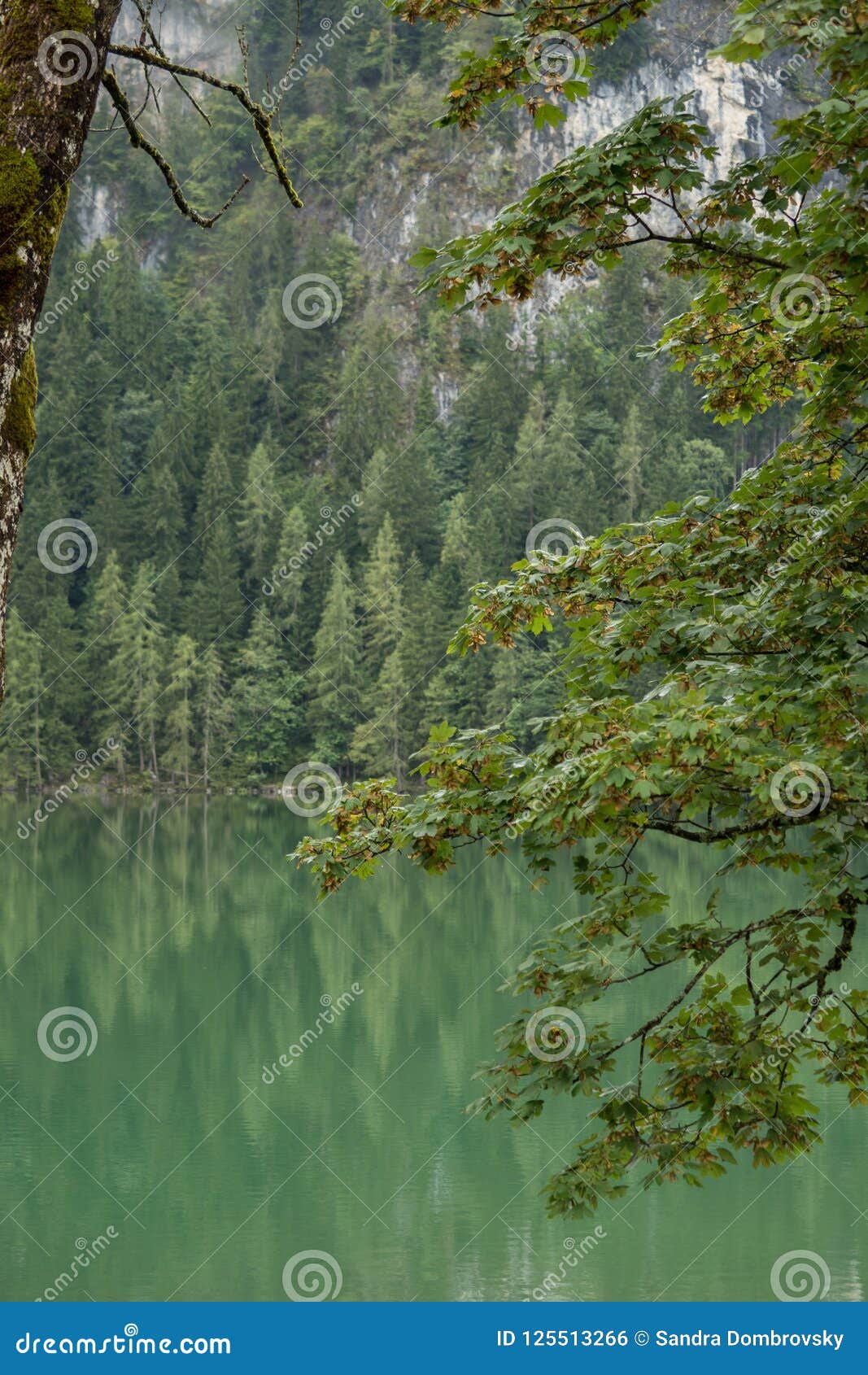 Nature Lake Shot at the Gleinkersee in Austria Stock Photo - Image of ...