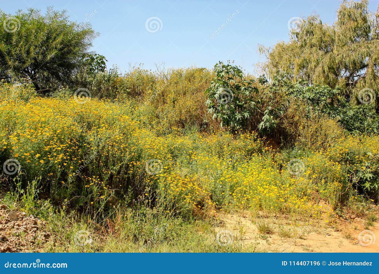 Colors of the Backyard of Jerusalem in Israel Stock Photo - Image of ...