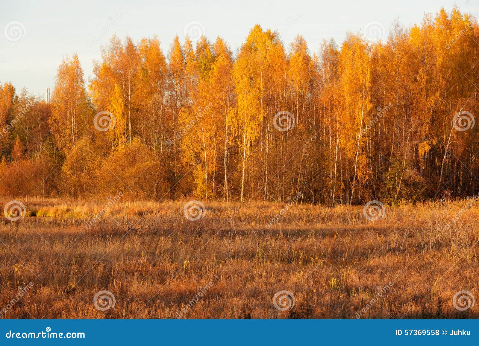 Nature Landscape in Autumn Colors Stock Photo - Image of freshness ...