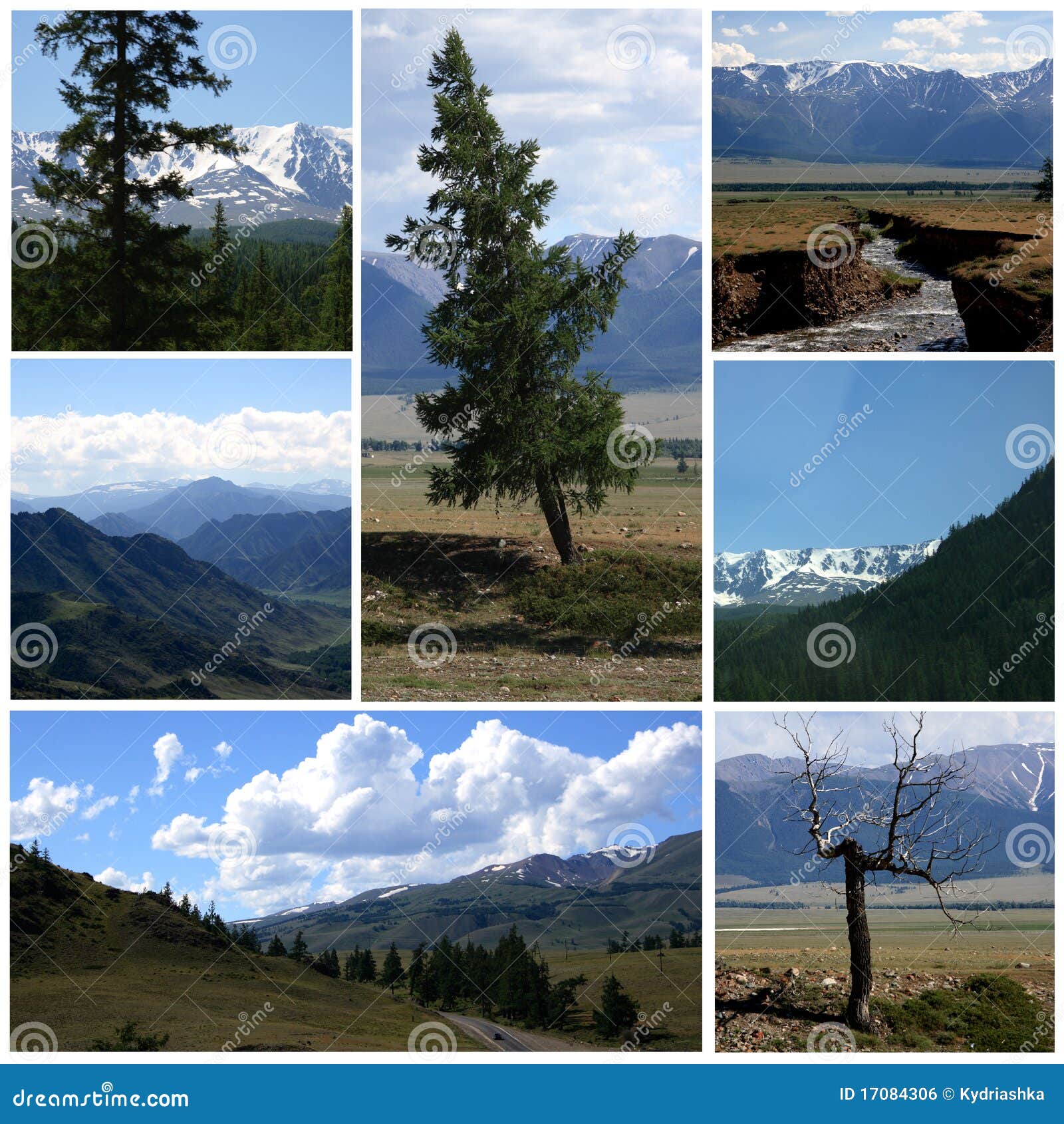 Nature landscape collage stock photo. Image of barren - 17084306