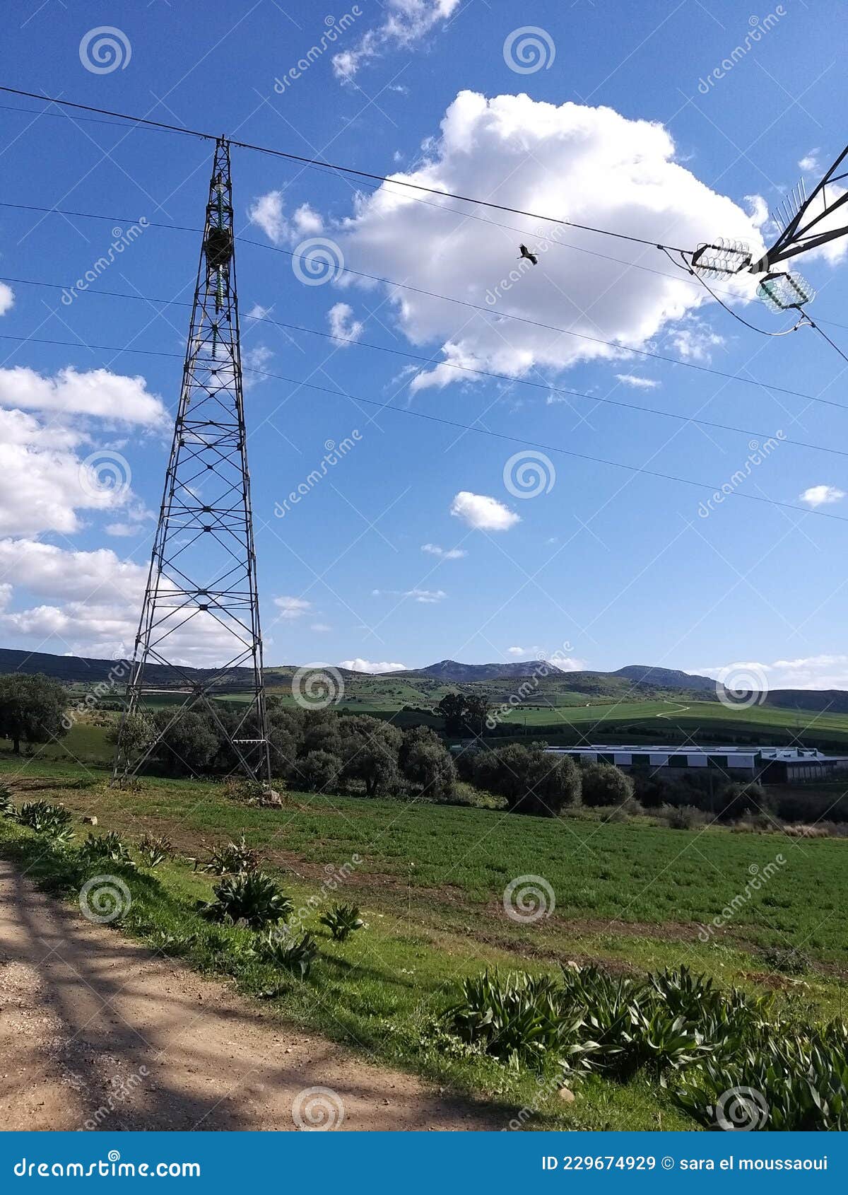Nature Landscape Electricity Countryside Stock Image - Image of light ...