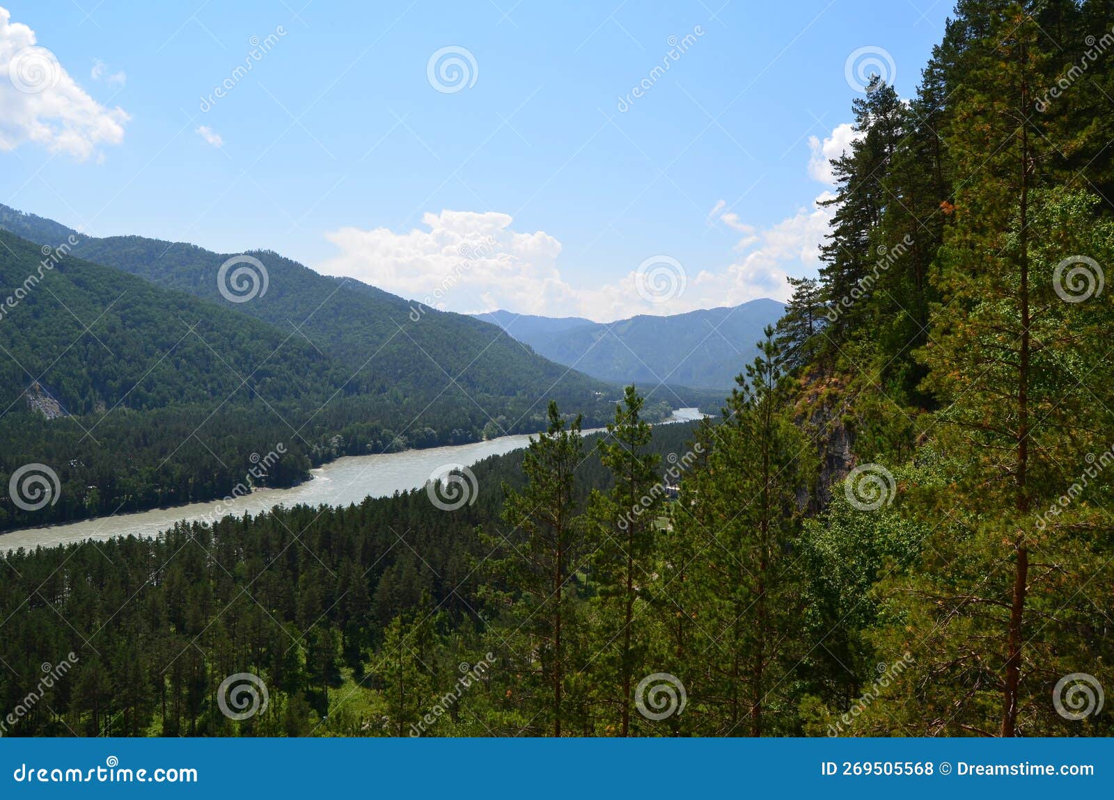 Nature Landscape Forest Tree River Stock Photo - Image of mountain ...