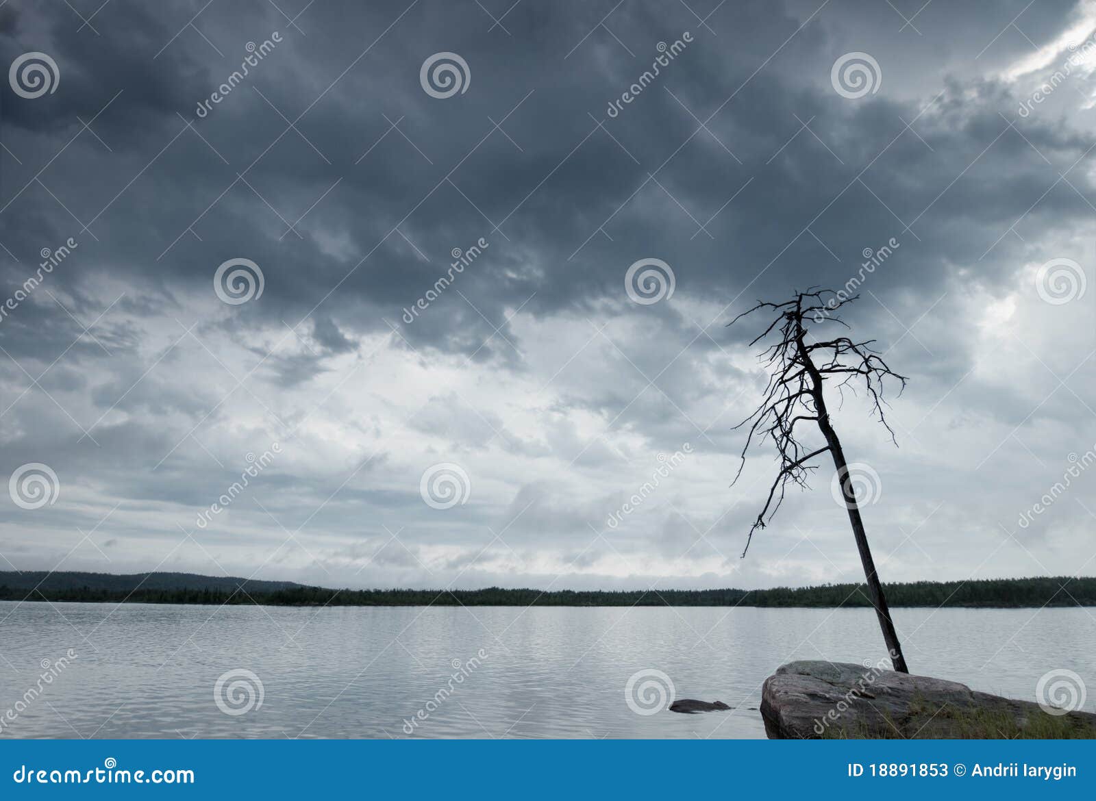 Nature Landscape on the Lake in Bad Weather Stock Image - Image of ...