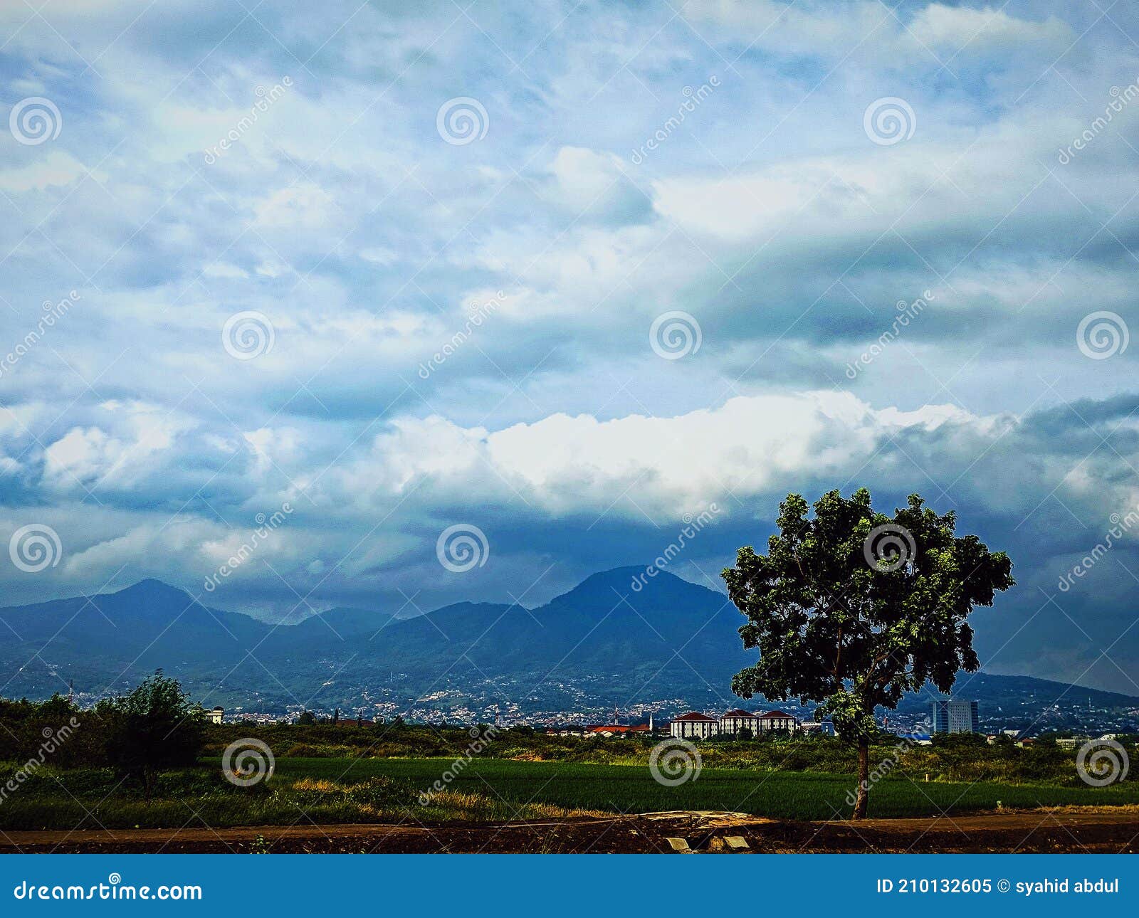 Nature landscape morning stock image. Image of nature - 210132605