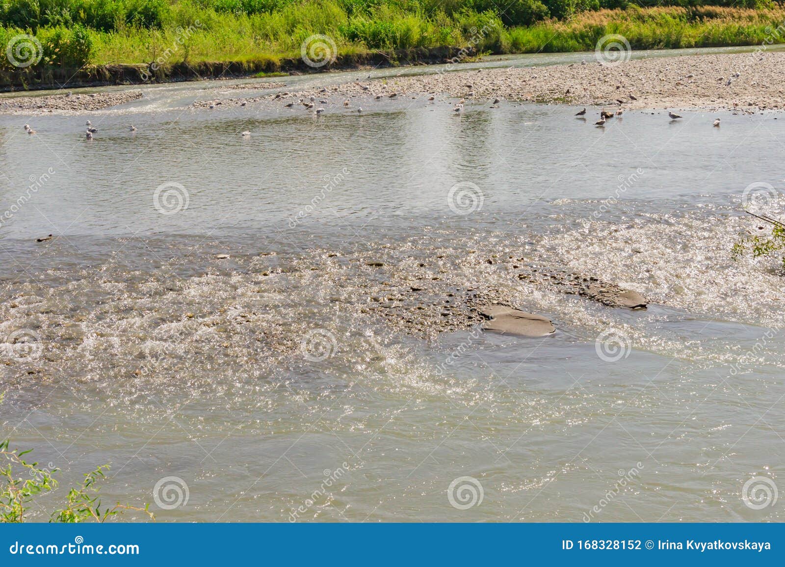 Nature Landscape - Mountain River and Shore Line Stock Photo - Image of ...