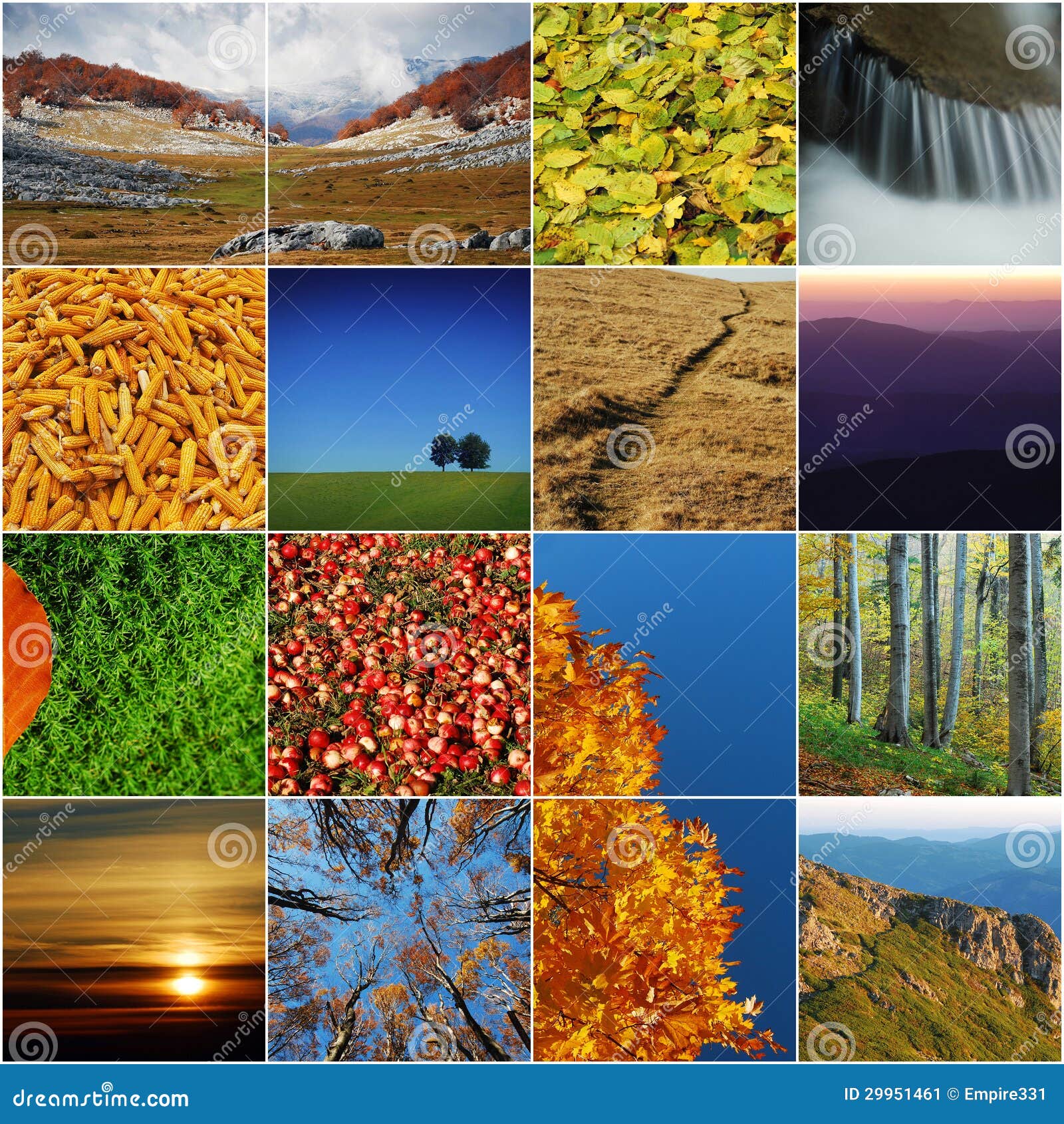 Nature stock image. Image of colorful, nature, fall, green - 29951461