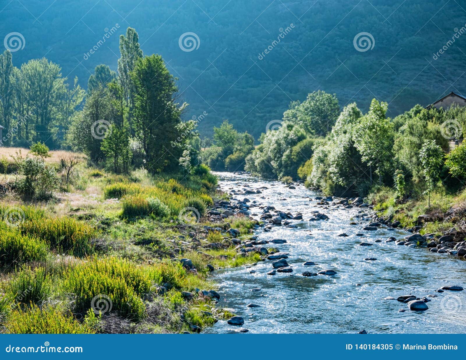 Nature Landscape with River Stock Image - Image of nature, green: 140184305