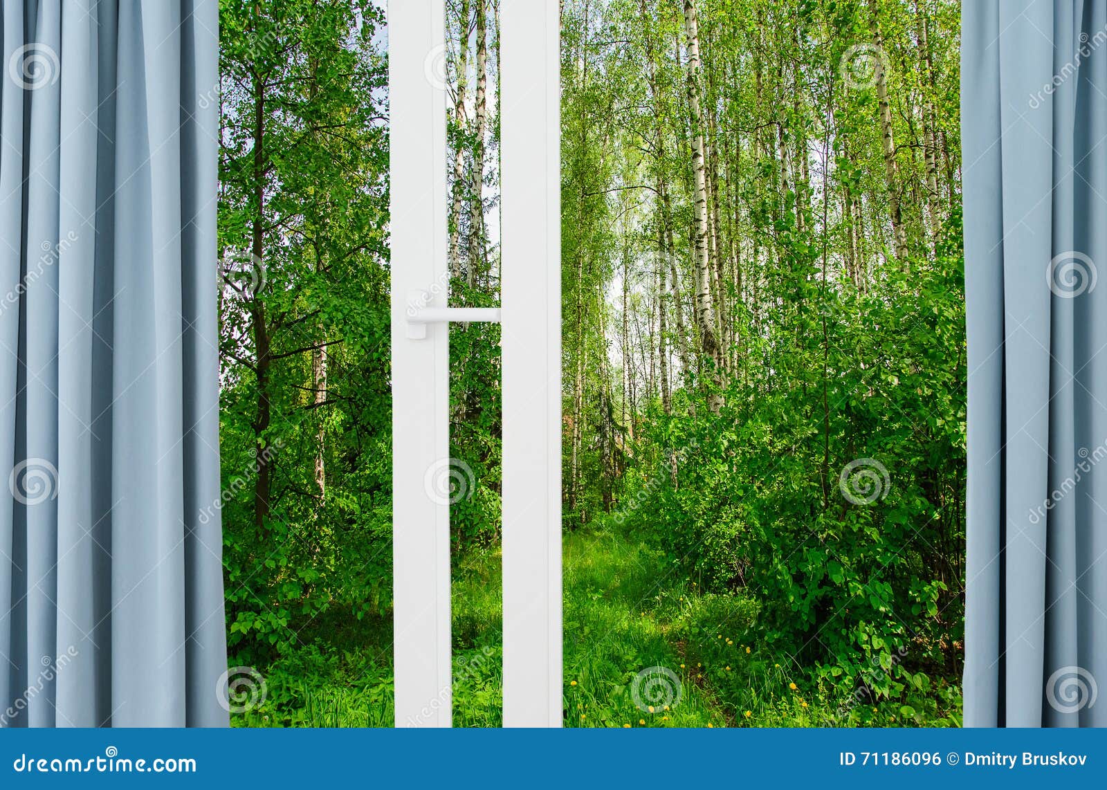 Nature Landscape with View through Window Stock Photo - Image of forest ...