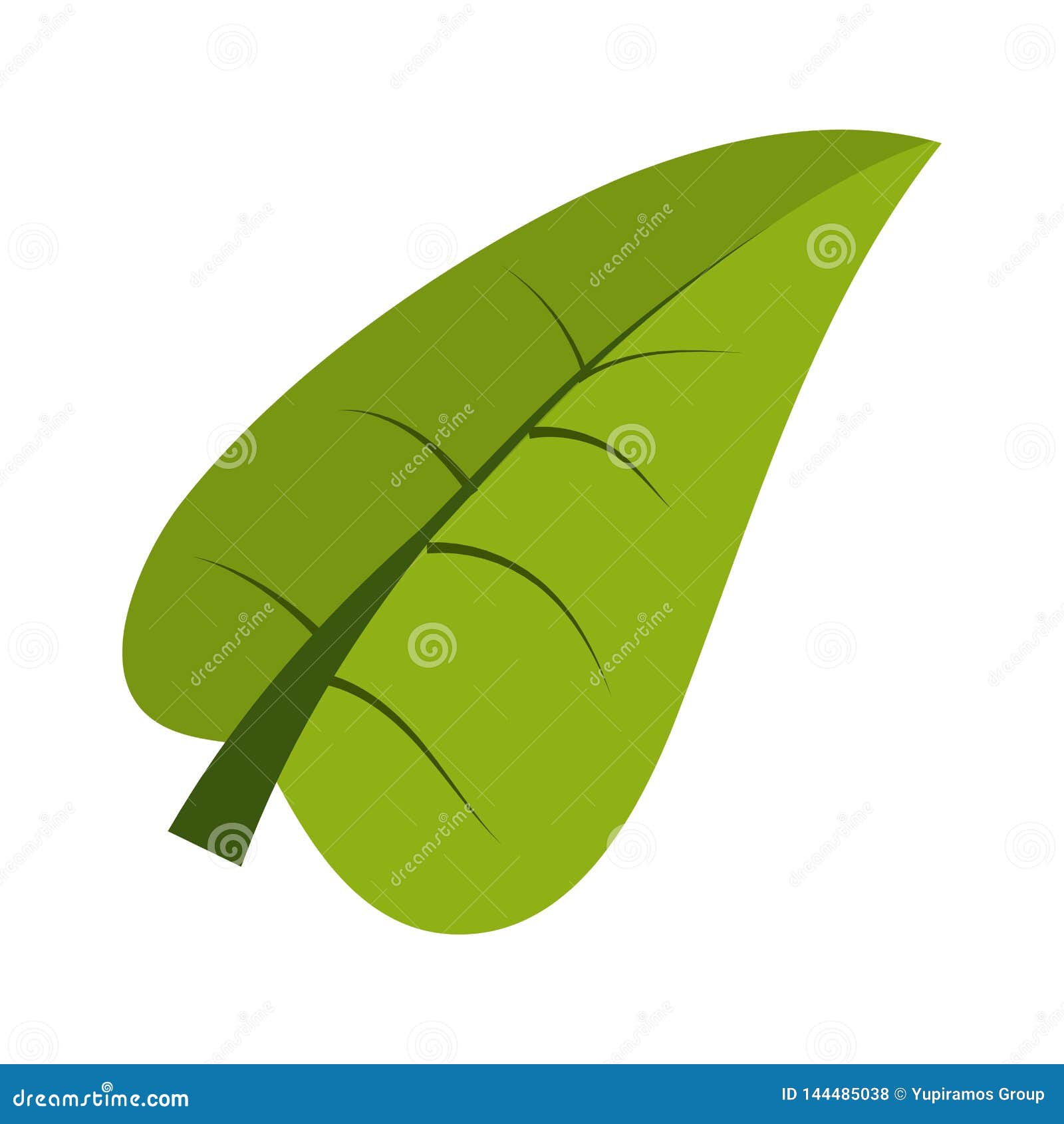 Nature leaf cartoon stock vector. Illustration of flora - 144485038