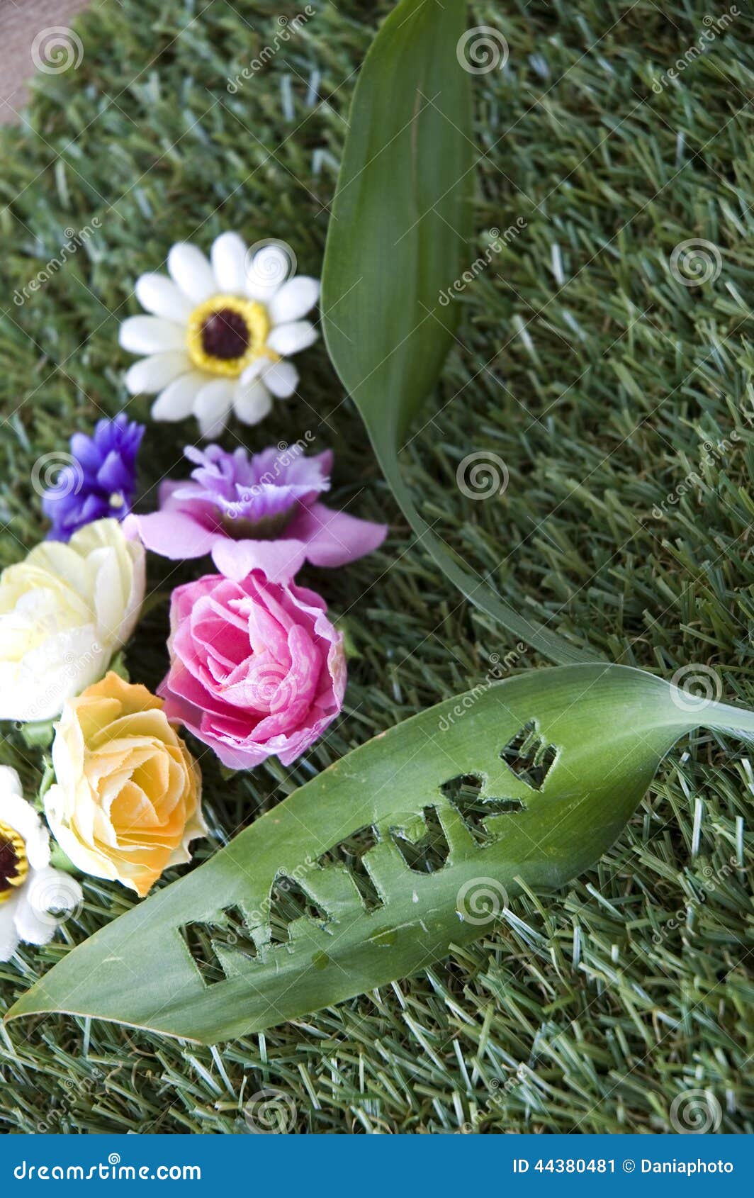 Nature Leaf Wording with Flowers Stock Image - Image of creative, close ...