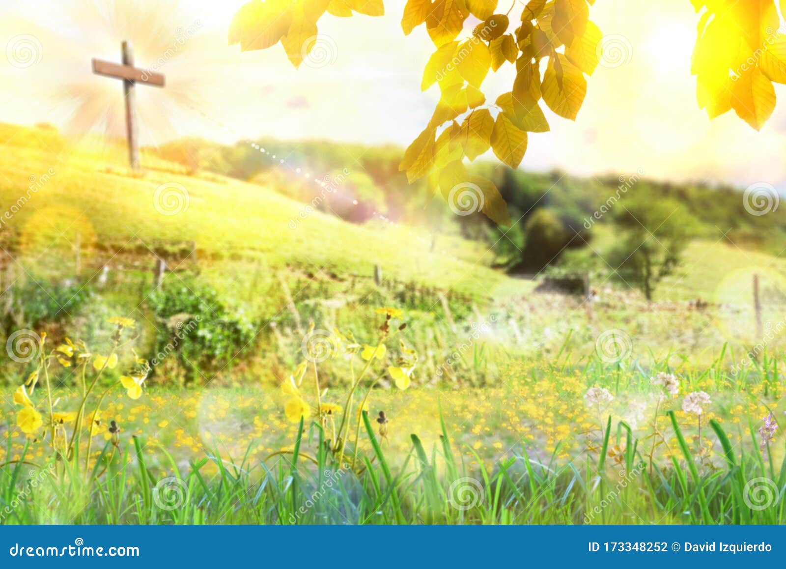Nature with Leaves and Plants with Cross on Background Hill Stock Photo ...